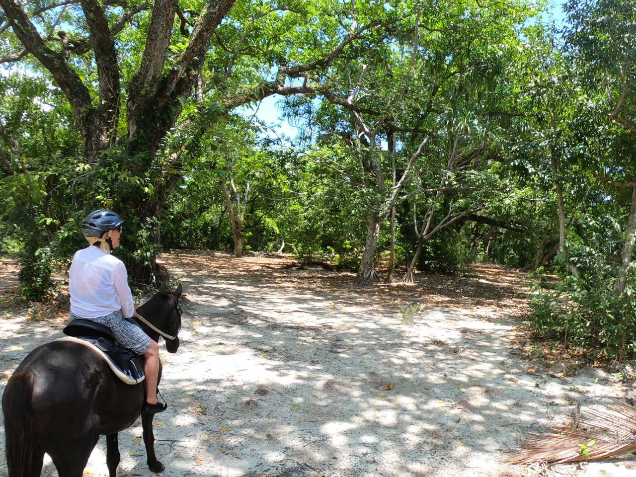 Activities & Tours – Lonnoc Eco Beach Bungalows